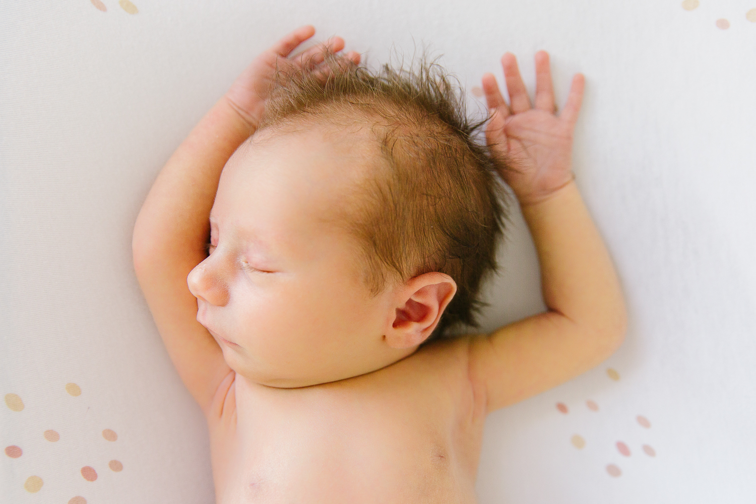 In-Home Newborn | Baby Brighton - Leianne Phillips Photography