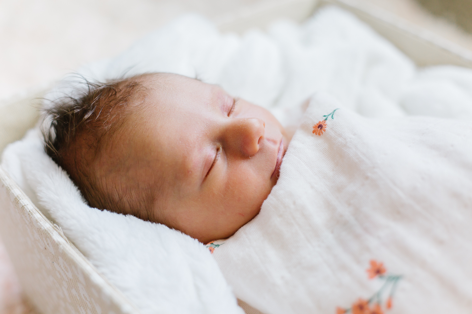 In-Home Newborn | Baby Brighton - Leianne Phillips Photography