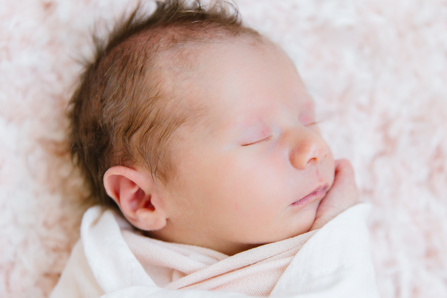 In-Home Newborn | Baby Brighton - Leianne Phillips Photography
